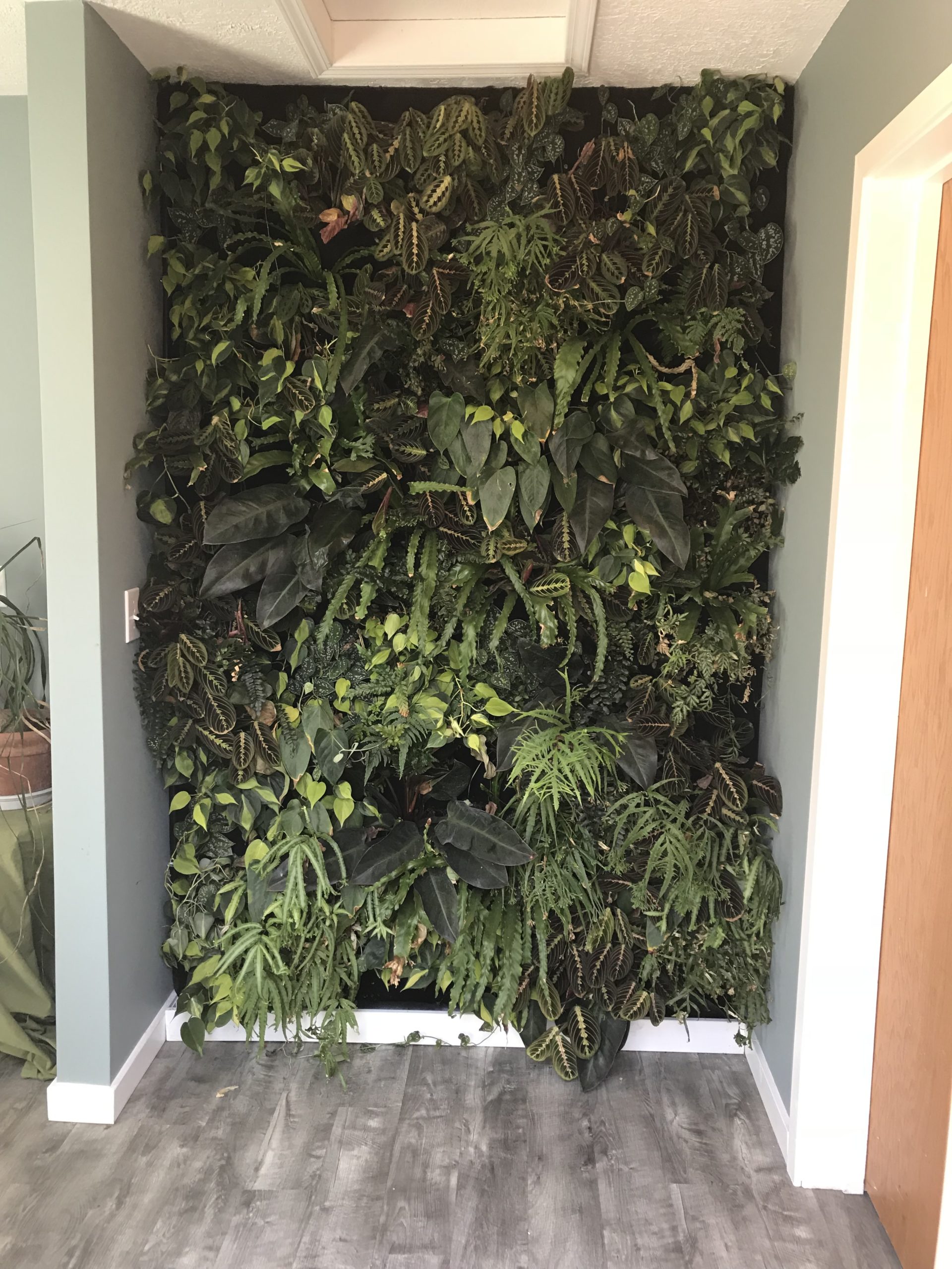 About Us - Adna Technologies